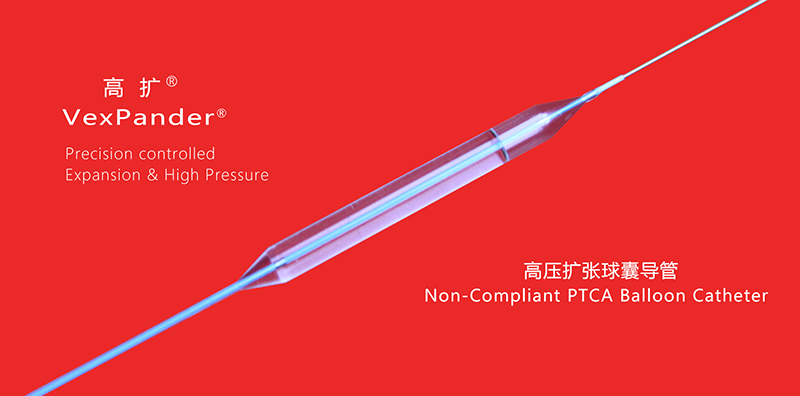 Supply High Pessure Balloon Catheter Wholesale Factory - TT Medical, Inc.