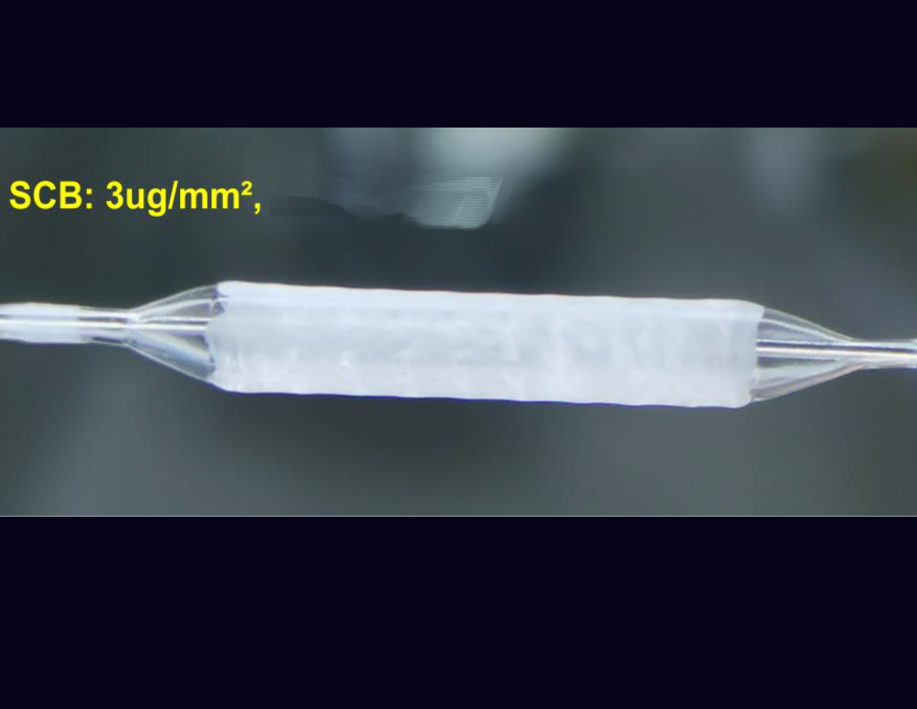 Supply SuperFlow® Sirolimus Coated PTCA Balloon Catheter Wholesale ...