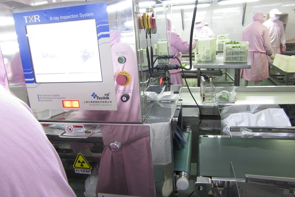 Supply IQF Frozen Broccoli Factory Quotes - OEM