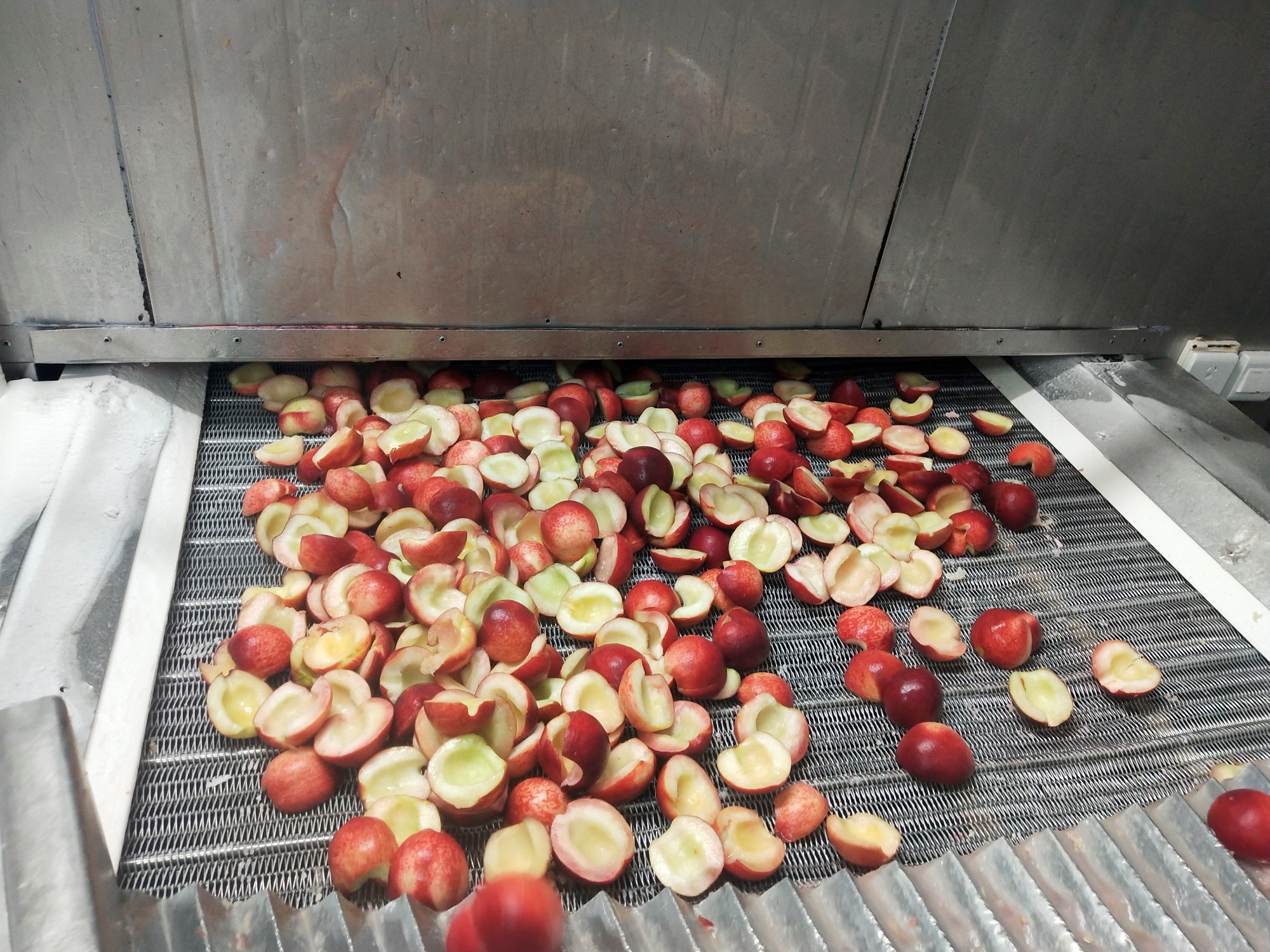 Supply IQF Frozen Juicy Peach Factory Quotes - OEM