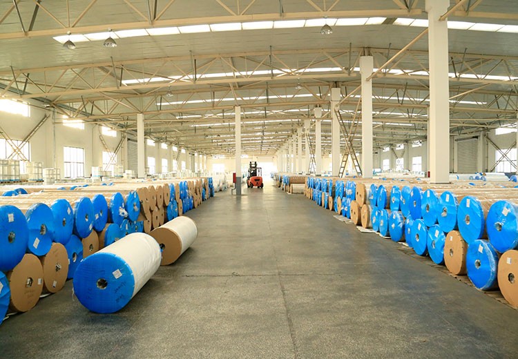 Metallized Polyester Film Factory, Company, Manufacturers - Weifang ...
