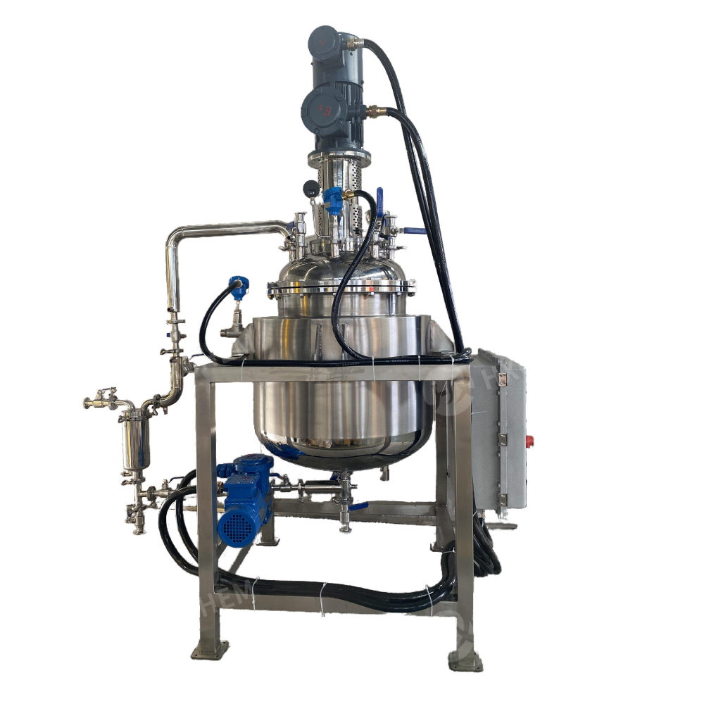 Supply Agitated stainless steel reactor with recycling and vacuum ...