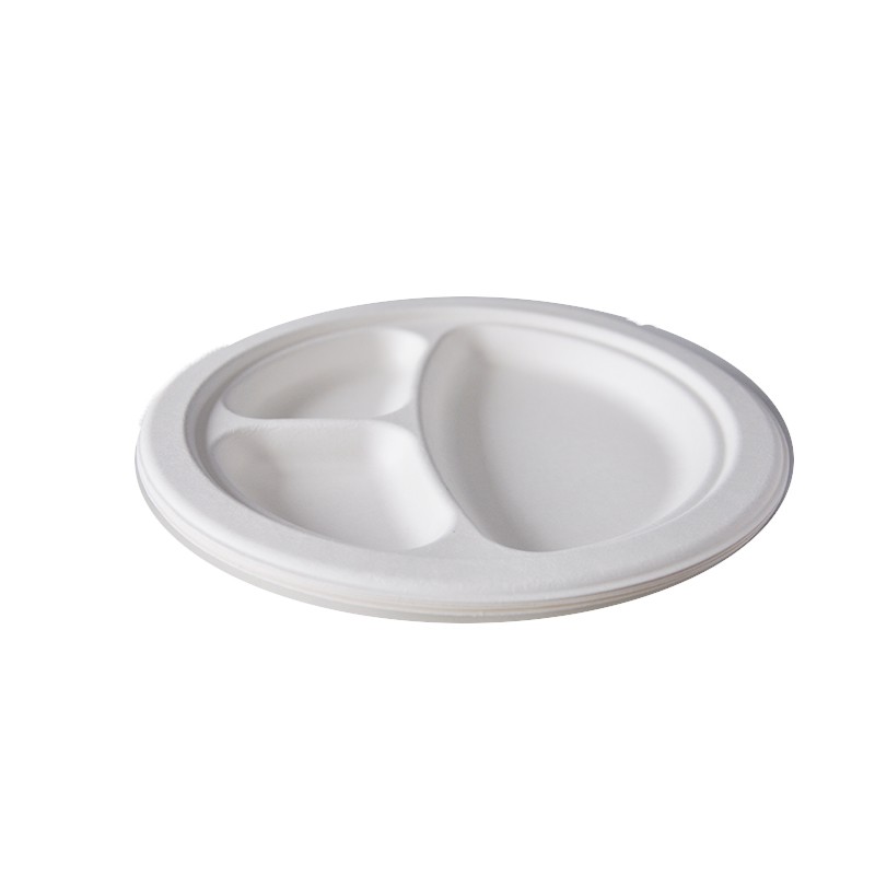 Paper Plate Dividers at Carlo Simmons blog