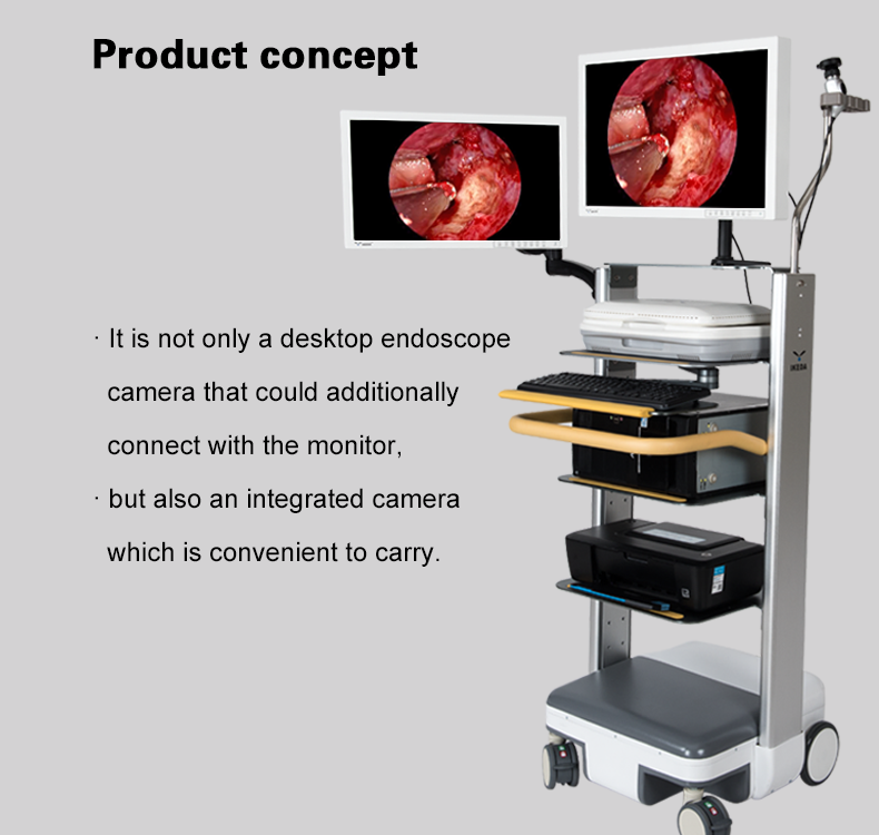 Cámara de endoscopia portátil Sistema de imágenes Compatible con ...