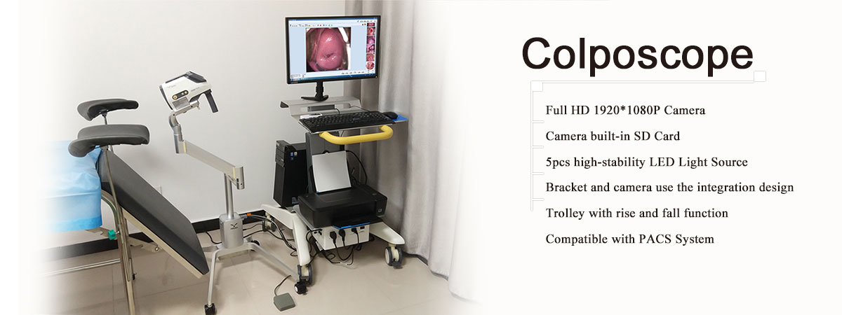 Supply Full HD Digital Video Colposcopy Equipment Factory Quotes - OEM