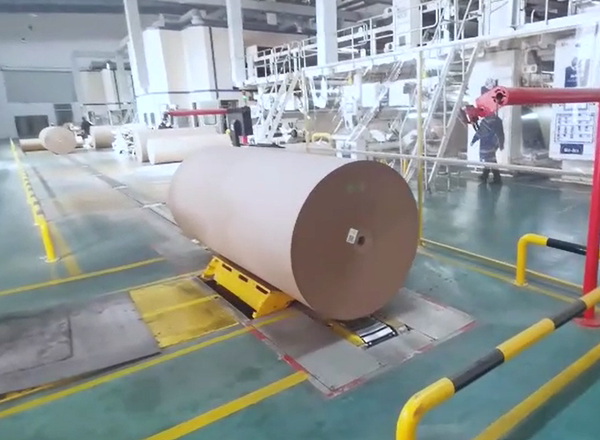 Supply Paper Roll Warehouse Conveyor Systems Wholesale Factory ...
