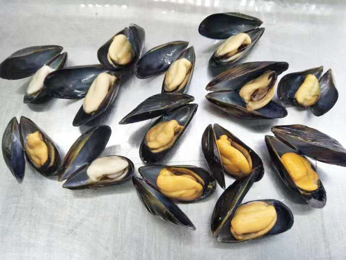 Frozen Clam, Frozen Mussel, Frozen Seaweed Salad Suppliers - DANDONG ...