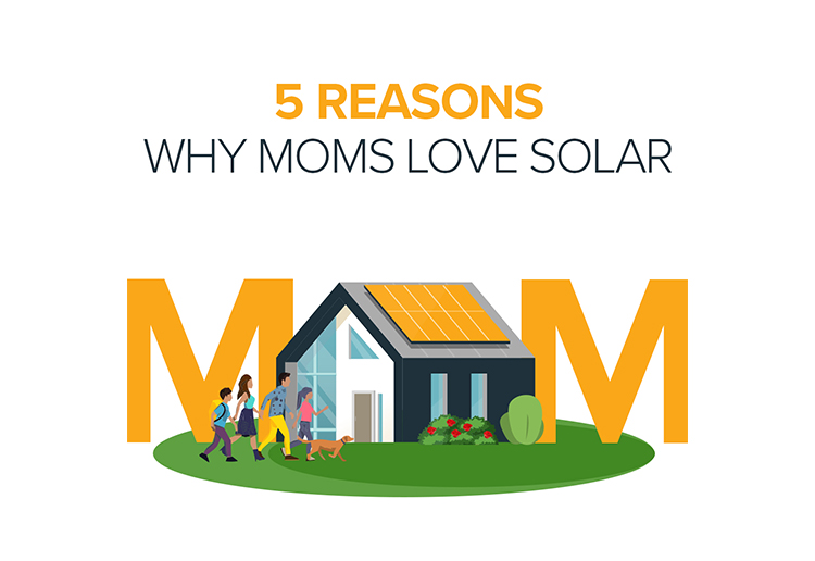 Monocrystalline Solar Module, Polycrystalline Solar Module, Half Cell ...