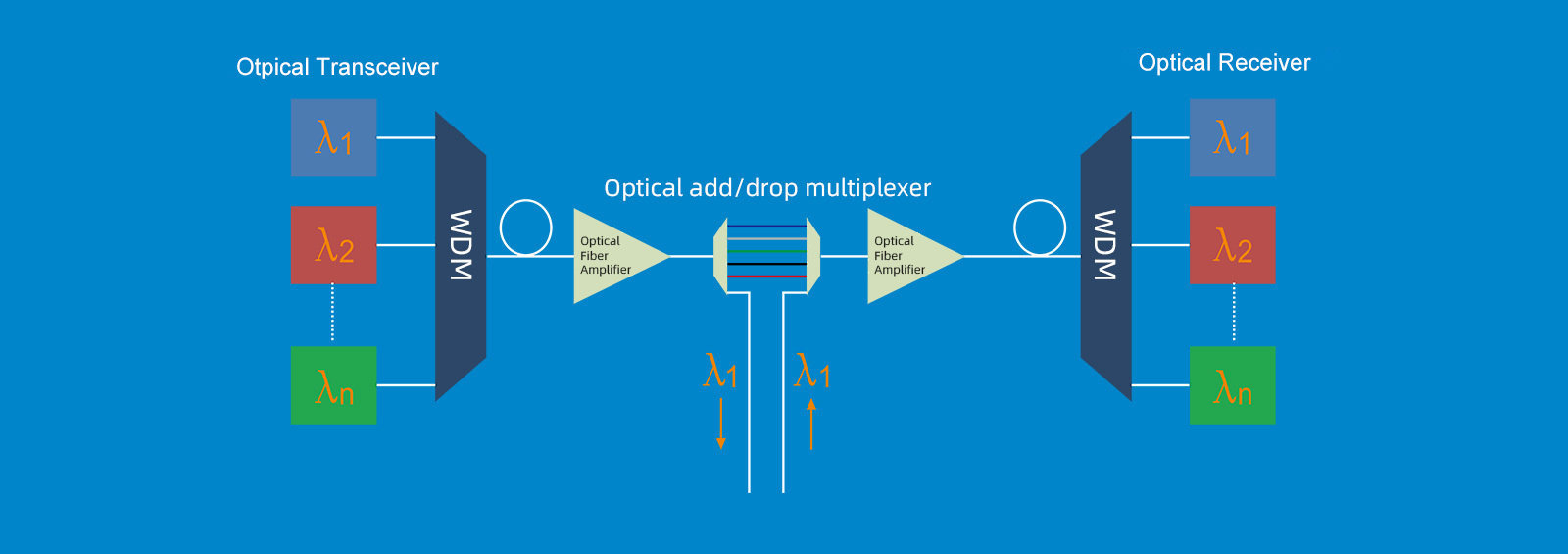 Optical Network Transmission