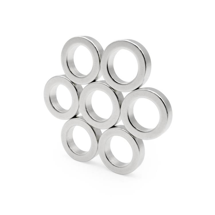 Diametrically Diametric Radial Magnetized Ring Magnet,ราคาตำ ...
