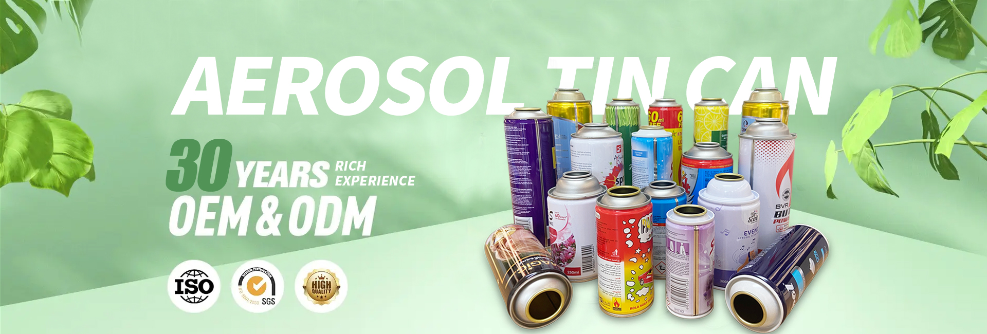 Aerosol Tin Can, Tin Box, Cone And Dome Suppliers - Chumboon Metal ...