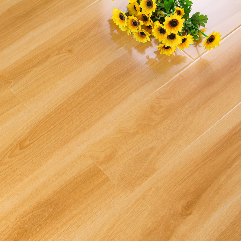 Supply 7mm Replacing Laminate Flooring Wholesale Factory - George Floor Supply 7mm Replacing Laminate Flooring Wholesale Factory - George Floor