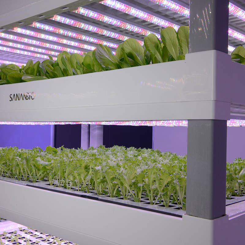 Supply Indoor Vertical Hydroponic Seedling Propogation Module Wholesale ...