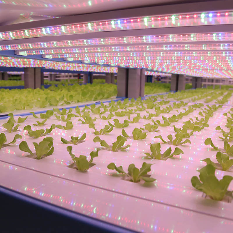 Supply Indoor Vertical Hydroponic Seedling Propogation Module Wholesale ...