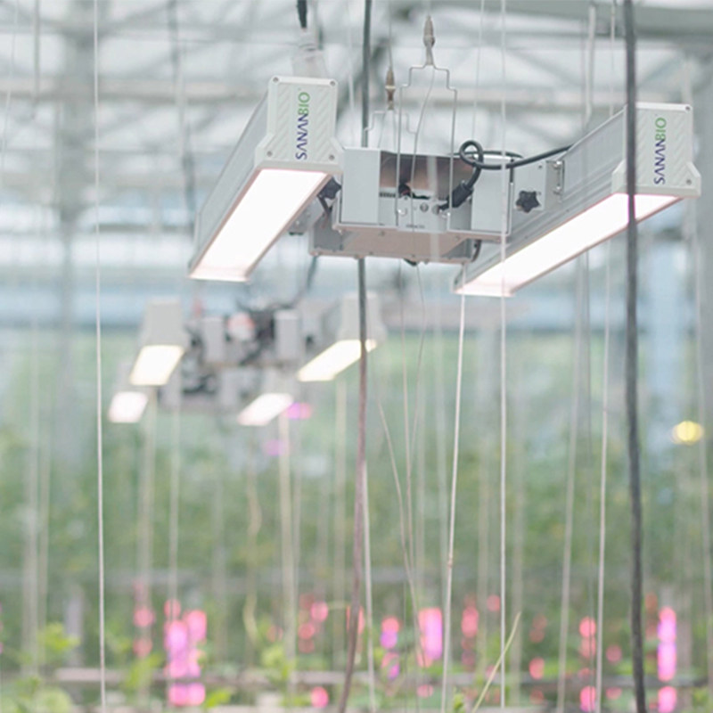 Sananbio ARK Container Farm, RADIX Hydroponic Module, Grow Tent Light ...