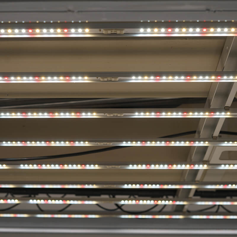 Supply Hydroponic Led Grow Lights For Greenhouse Wholesale Factory Foshan Growspec Biotech Co 