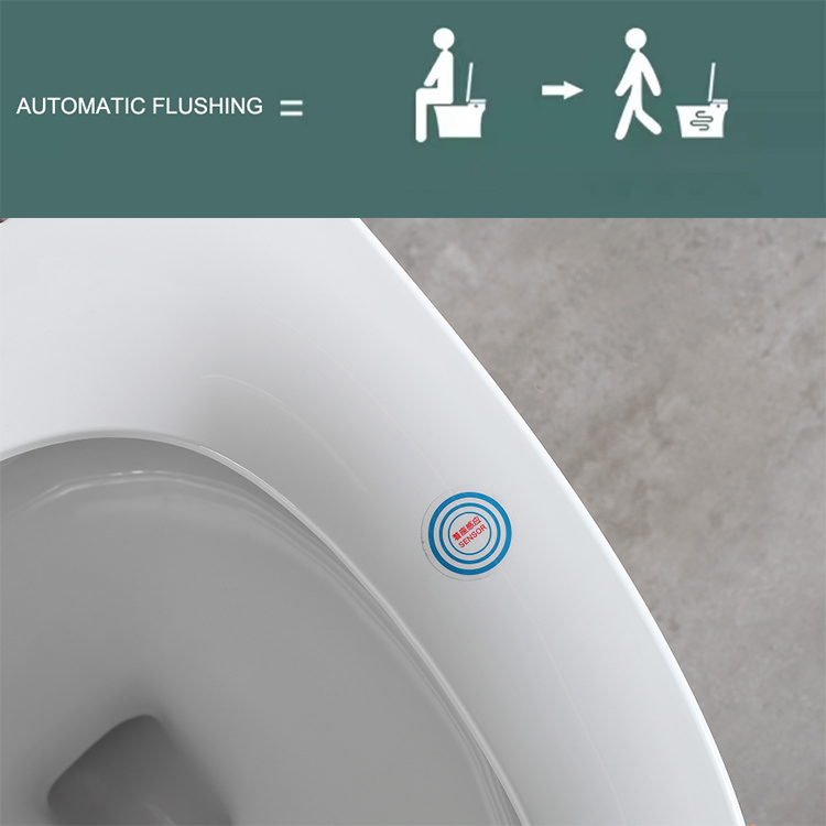 Supply Luminous Lighting Foot Sensor Flip Toilet Smart Toilet Wholesale ...