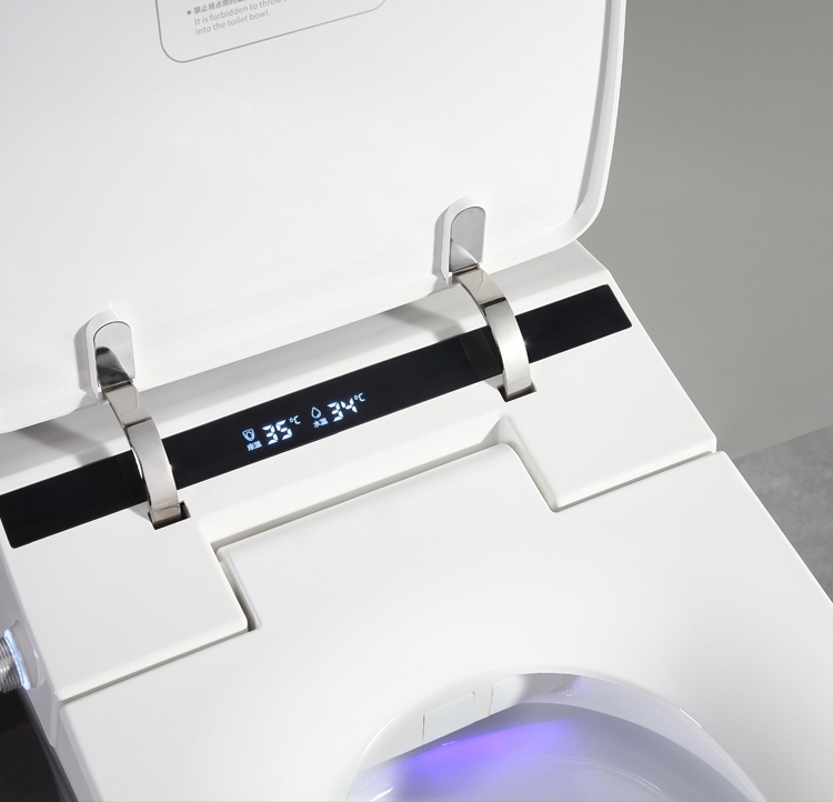 Supply One Piece Floor Mounted Strap Intelligent Toilet Wholesale ...