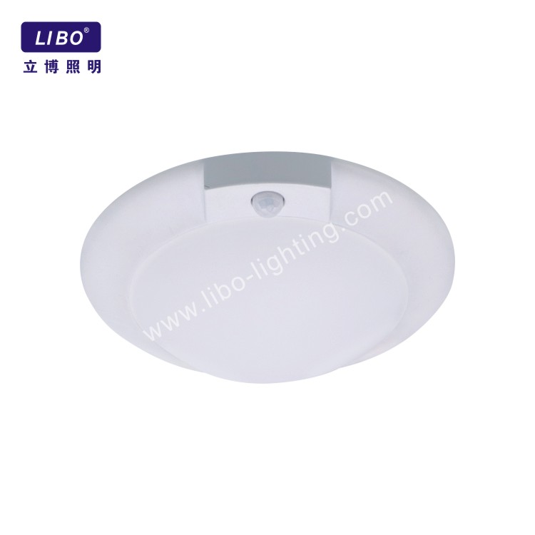 Supply LED Ceiling Surface Mounted LED Disk Light DL-4-9DCM Wholesale ...