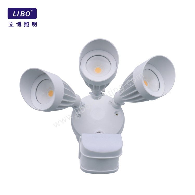 Supply LED Modern Exterior Wall Light Sconce HO-05 Wholesale Factory ...