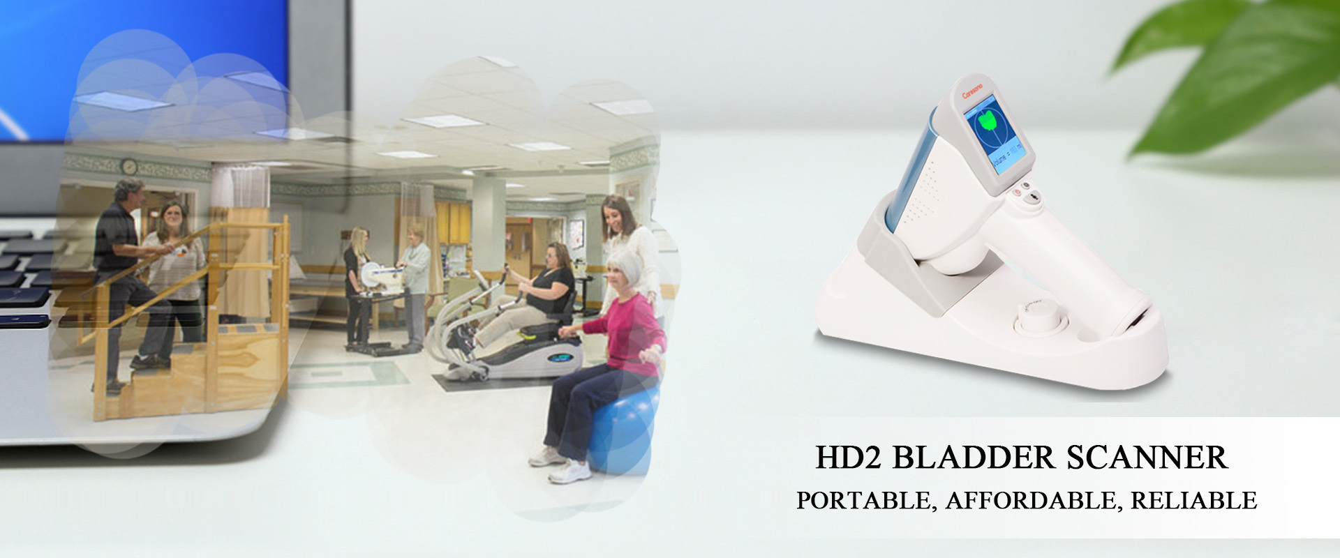 Portable Medical Bladder Scanner Manufacturer, Veterinary Ultrasound ...