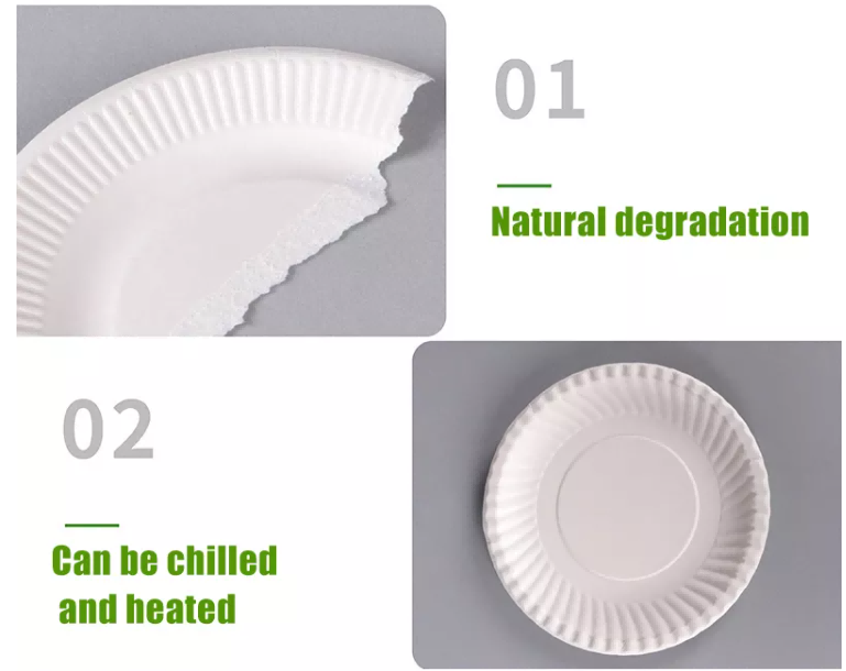 Supply Super Rigid Degradable Disposable Paper Plate Bagasse Wholesale ...