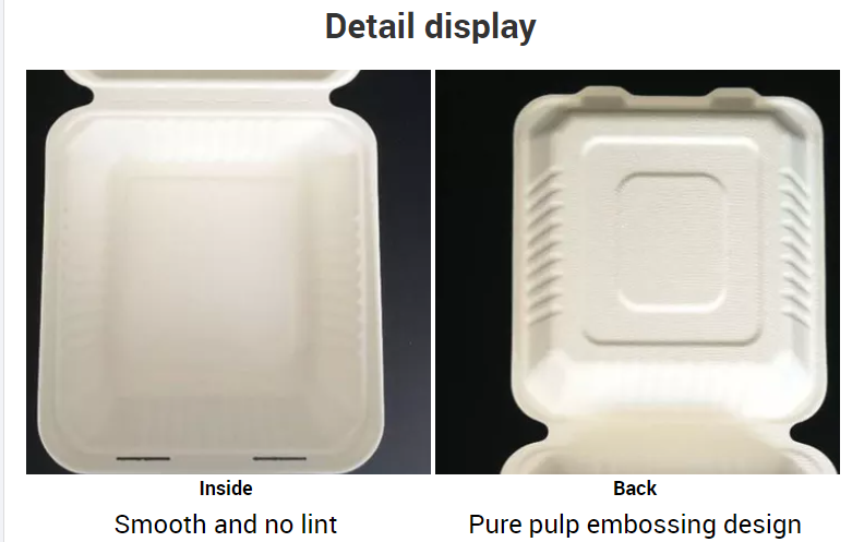 Supply 9 inch Clamshell Sugarcane Pulp Food Boxes Takeaway Container ...