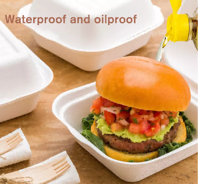 Supply 6 inch Clamshell Sugarcane Bagasse Food Burger Box Wholesale ...