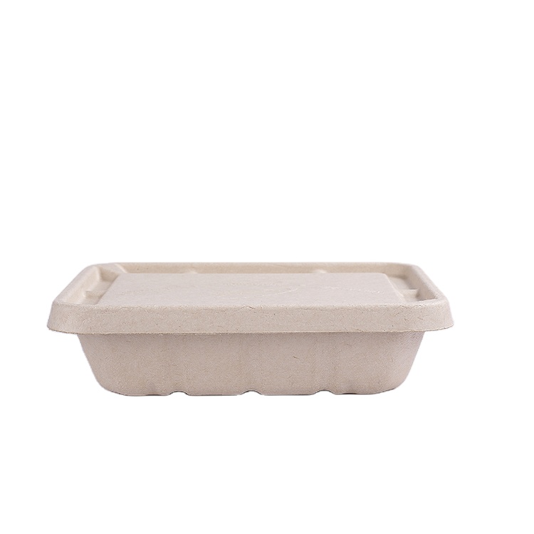 Customized Disposable Sugarcane Pulp Lunch Rec Box For Take Away ...