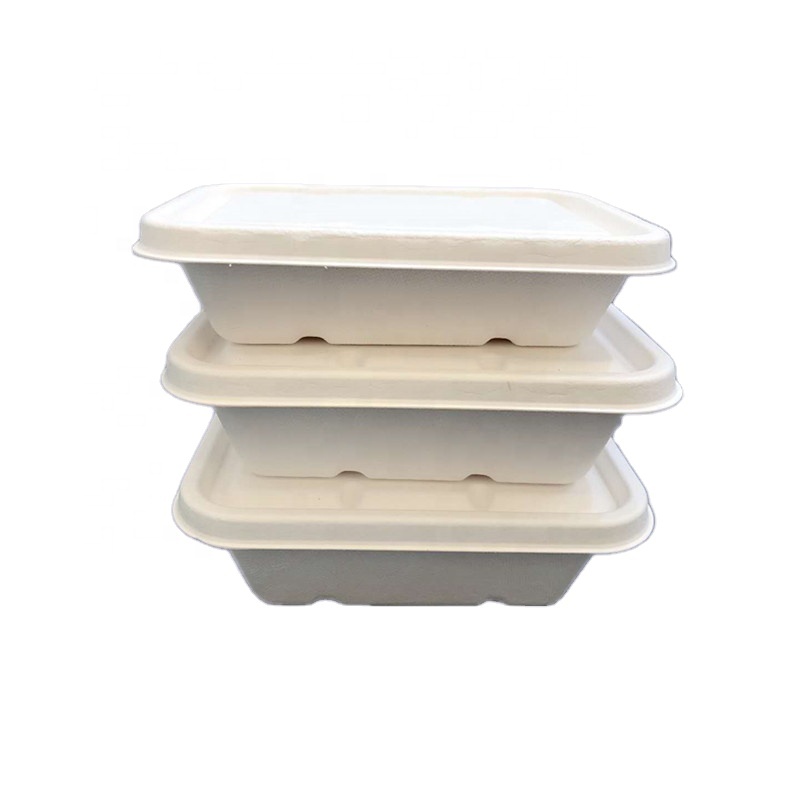 Customized Disposable Sugarcane Pulp Lunch Rec Box For Take Away ...