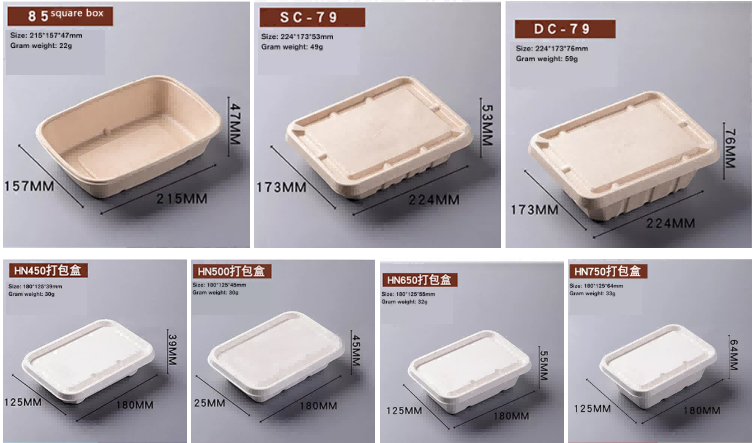 Customized Disposable Sugarcane Pulp Lunch Rec Box For Take Away ...