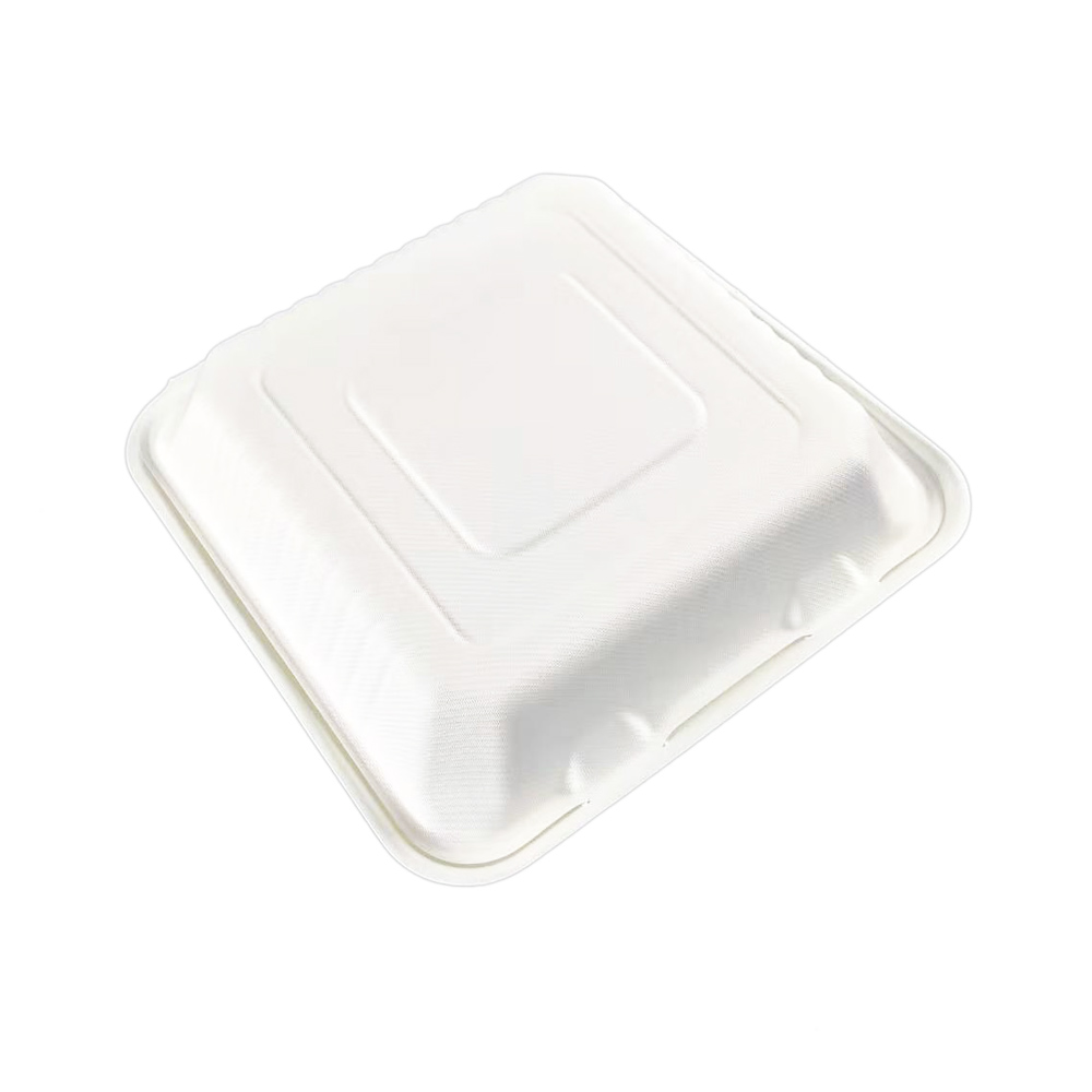 Supply 9 inch Clamshell Sugarcane Pulp Food Boxes Takeaway Container ...