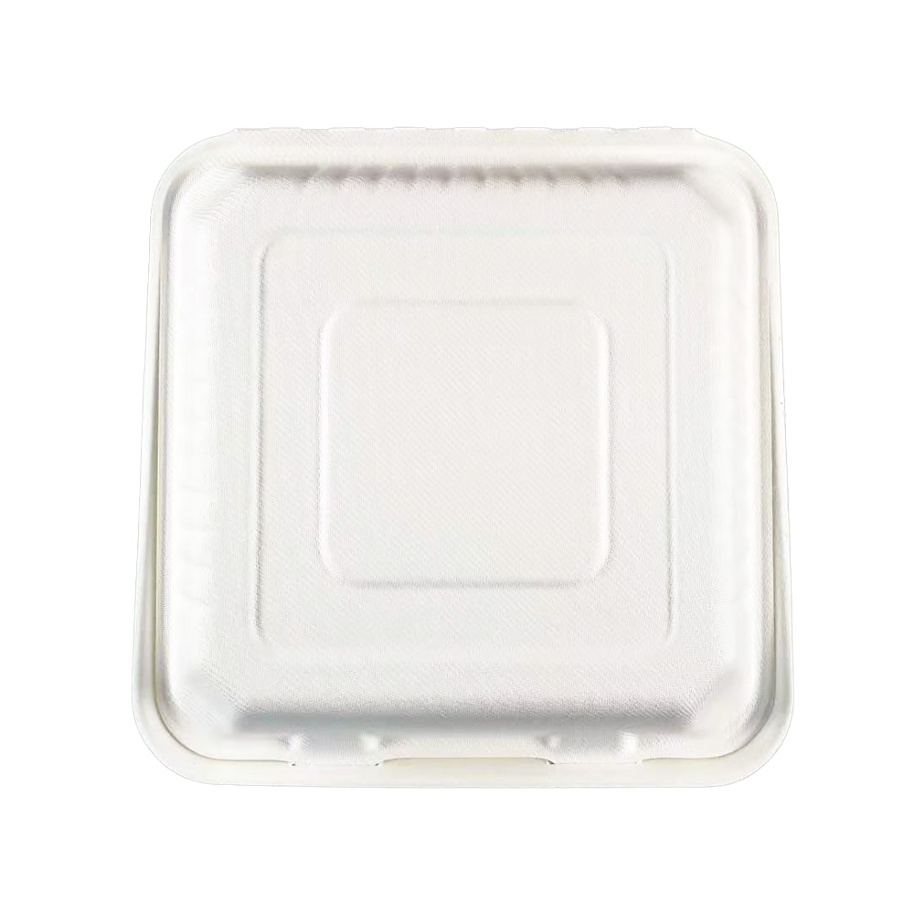 Supply 9 inch Clamshell Sugarcane Pulp Food Boxes Takeaway Container ...