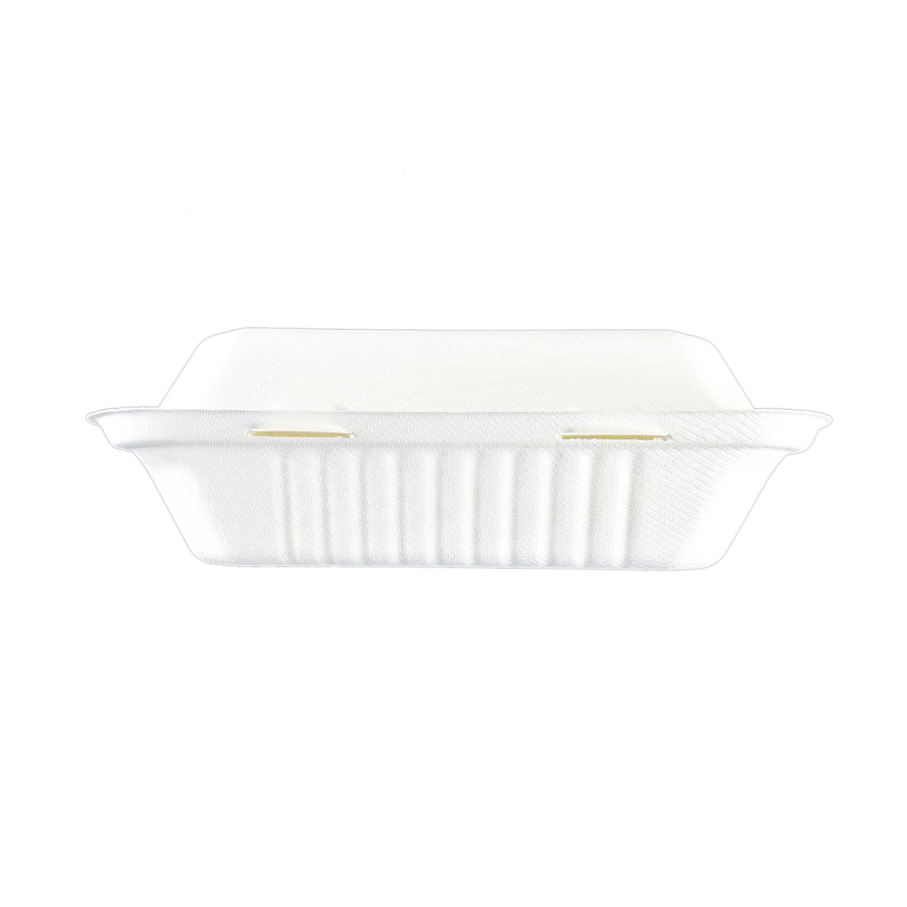 Supply 9 inch Clamshell Sugarcane Pulp Food Boxes Takeaway Container ...