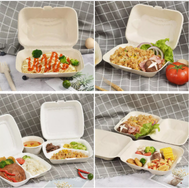 Supply pfas free pulp sugarcane bagasse clamshell food box Wholesale ...