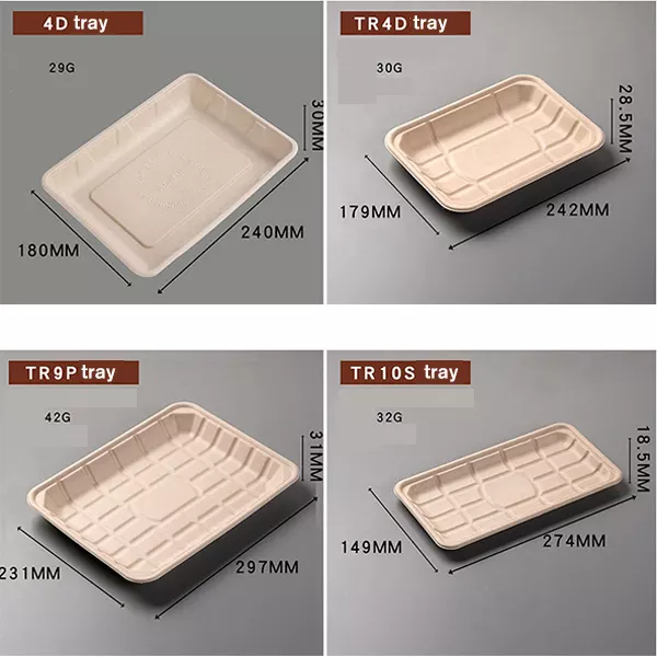 Supply sugarcane bagsses food vegetable tray rectangle Wholesale ...