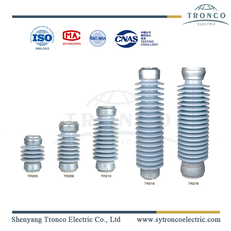 Supply Post Insulator Wholesale Factory - SHENYANG TRONCO ELECTRIC CO., LTD