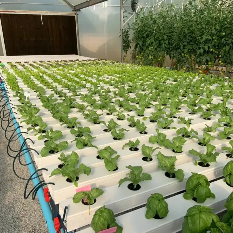 Supply Hydroponic Channels Nft Gully Channels Custom Nft Channel Gully ...