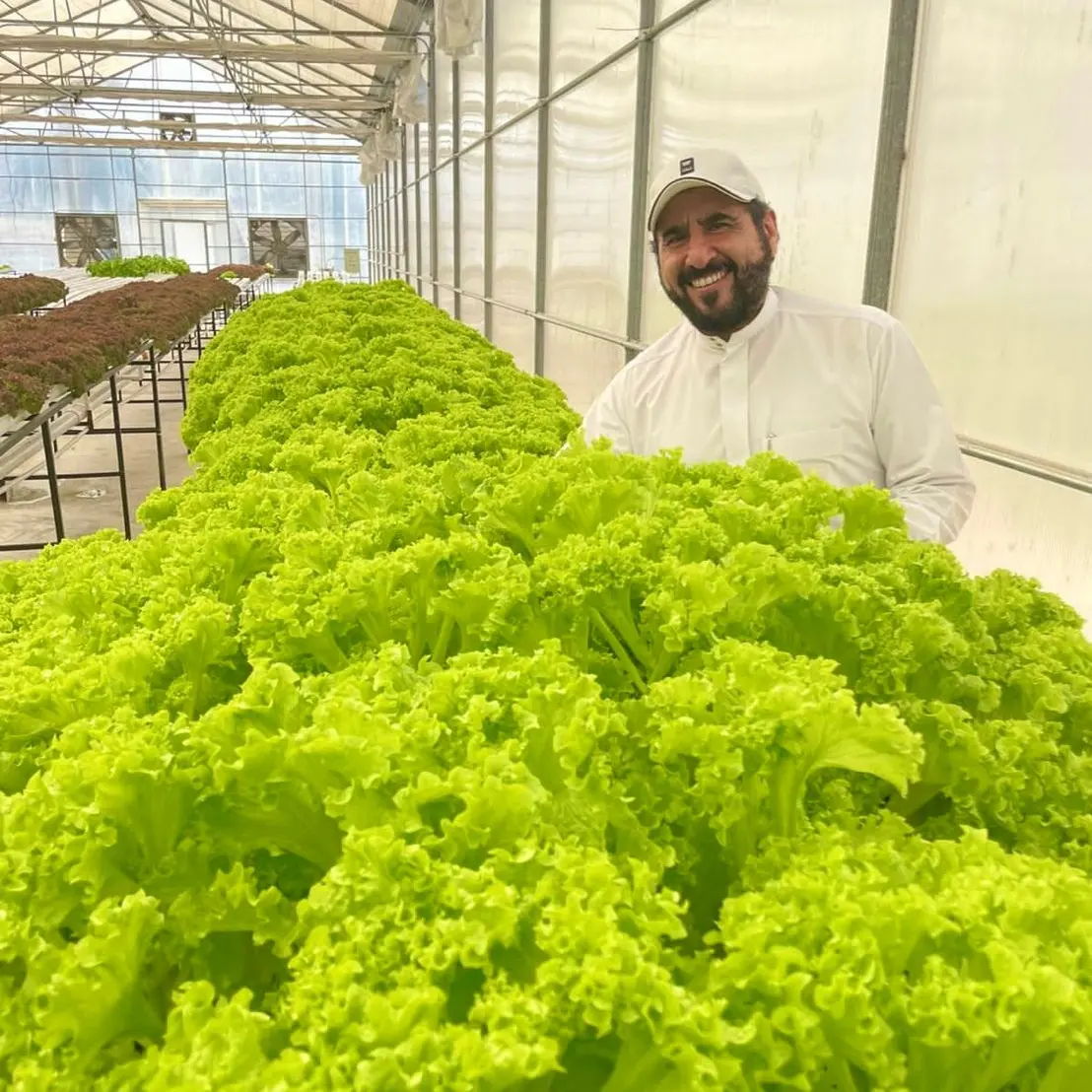 Supply 2022 Hydroponics Horizontal Grow System Growing Kit 6/8/10 ...