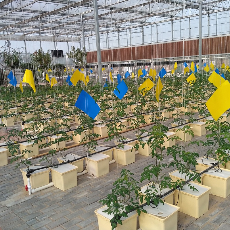 Supply Customized Whole PP Dutch Bucket Hydroponic Growing System with ...