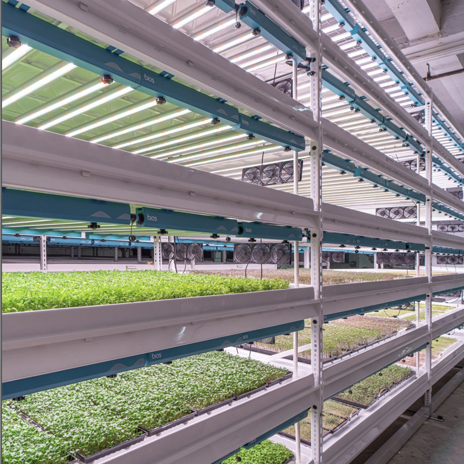 Supply Hydroponic Flood Tables Trays Bench Tables Ebb and Flow ...