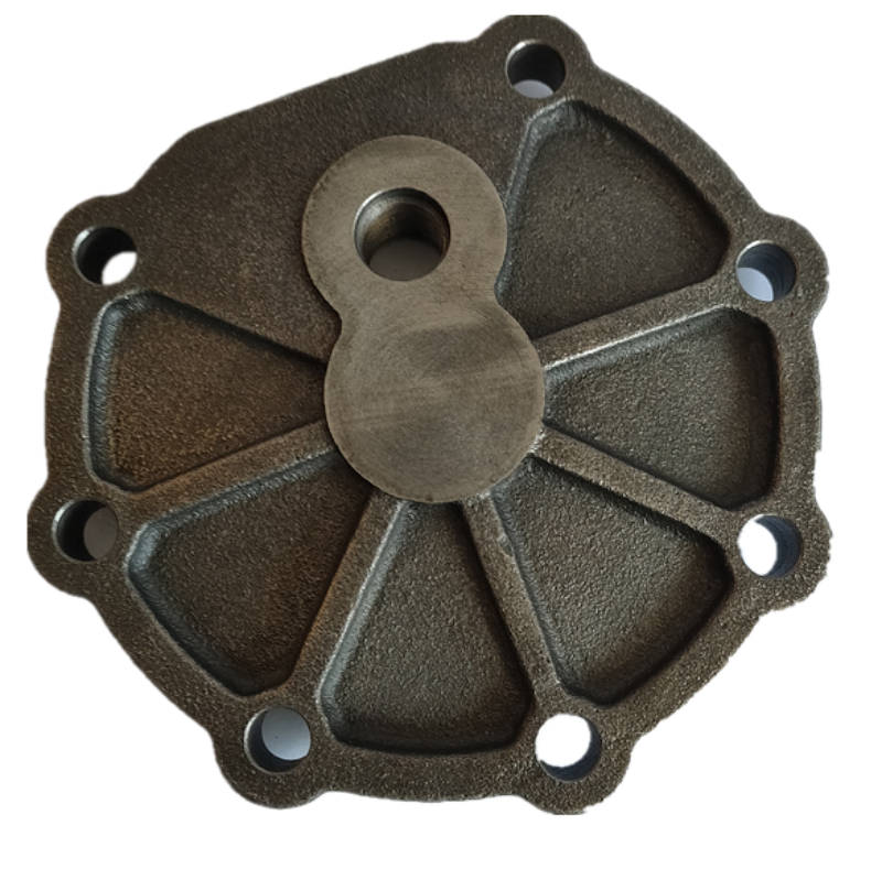 Supply Cast Steel Pressure Reducing Valve Cover Wholesale Factory ...