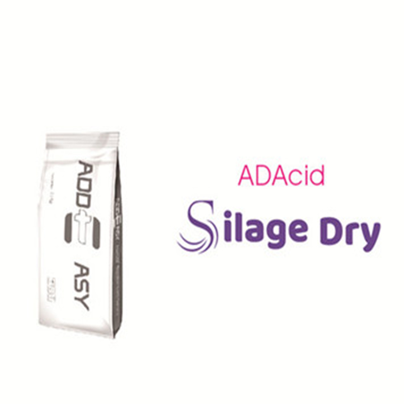 Supply ADAcid Silage Dry Wholesale Factory - ADDEASY BIO-TECHNOLOGY CO.,LTD