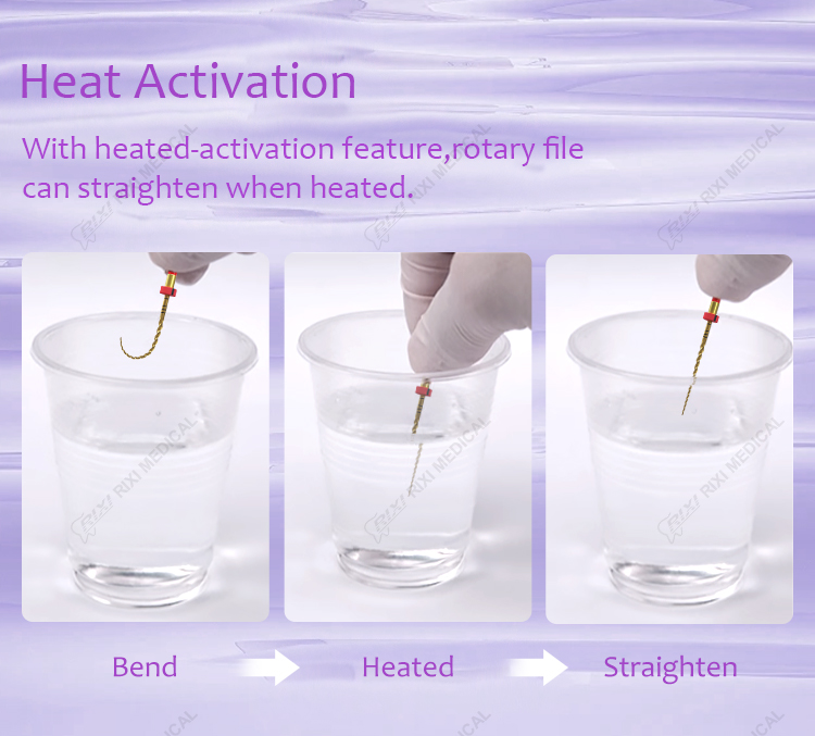 Supply Dental Root Canal Files Wholesale Factory - Foshan RIXI Medical ...