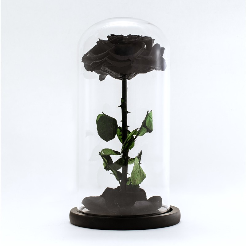 Supply Special Preserved Single Black Rose In Glass Wholesale Factory ...