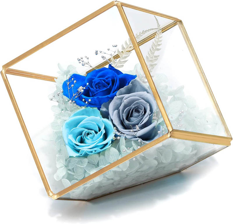 Supply Preserved Rose In Geometric Glass Box Wholesale Factory - Wujing ...