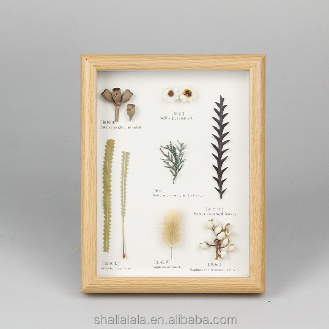 Supply Photo Frame Display Frame Wood Pressed Flower Wholesale Factory ...