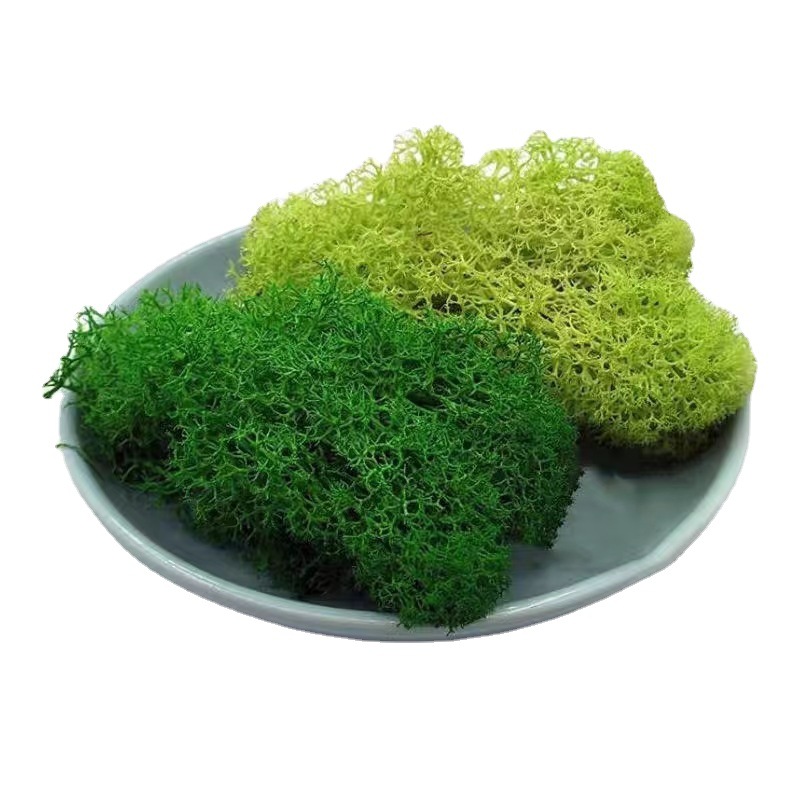 Supply Grade A Preserved Moss Material Wholesale Factory - Wujing ...