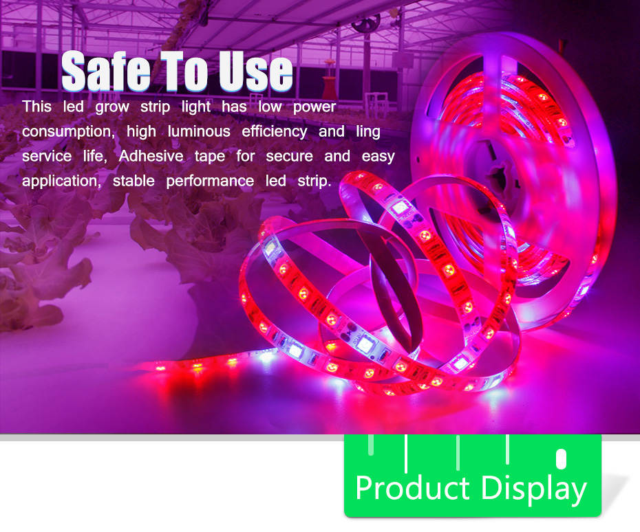 Supply 5050 Full Spectrum Led Grow Strip Light Red Blue Wholesale ...