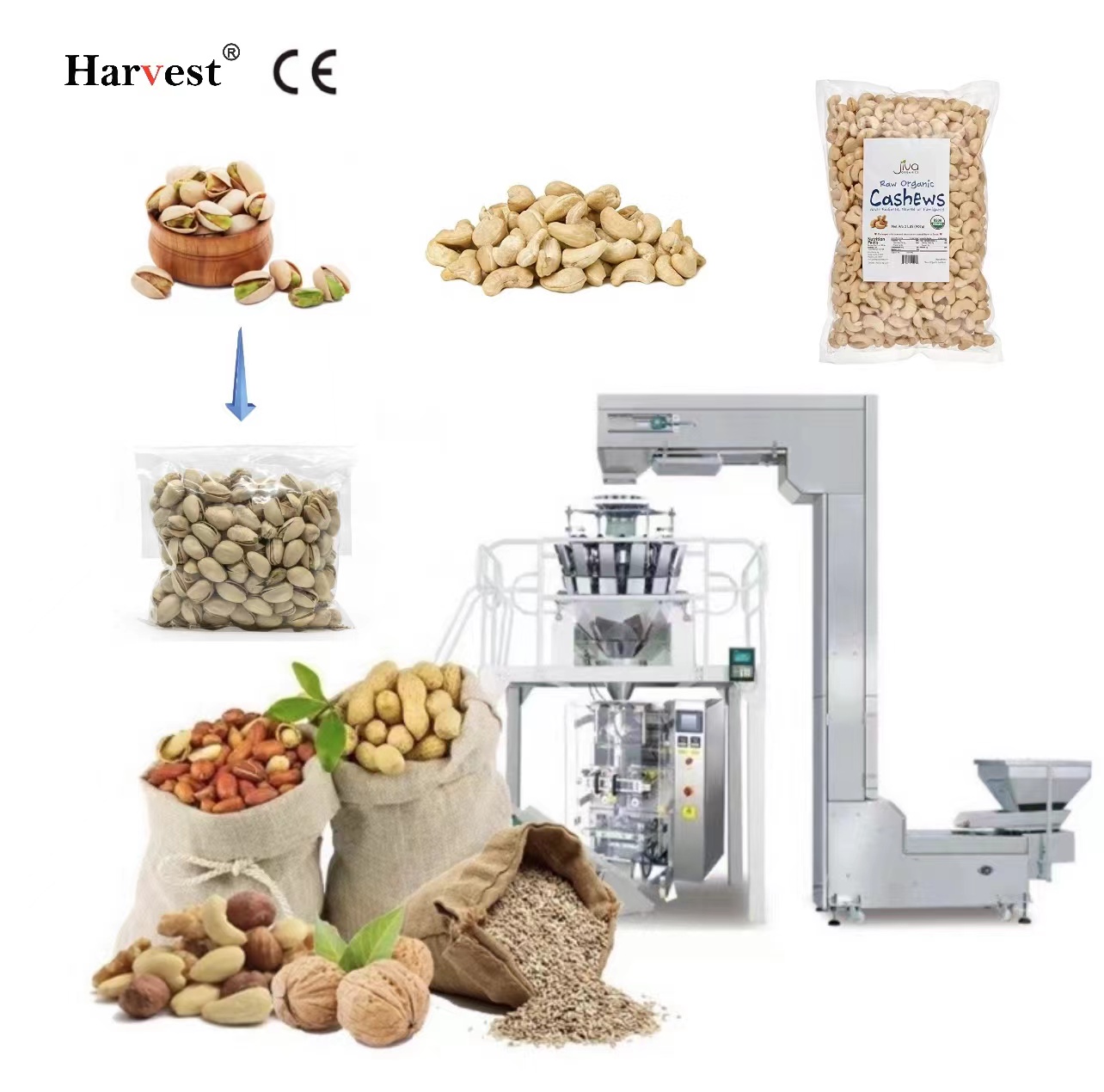 Supply Nut Packaging Machines Wholesale Factory - Qingdao Haifeisite ...